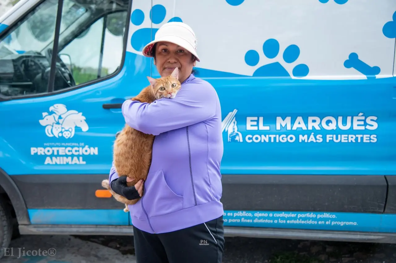 IMPA impulsa campañas gratuitas y rescates para proteger la vida animal ...